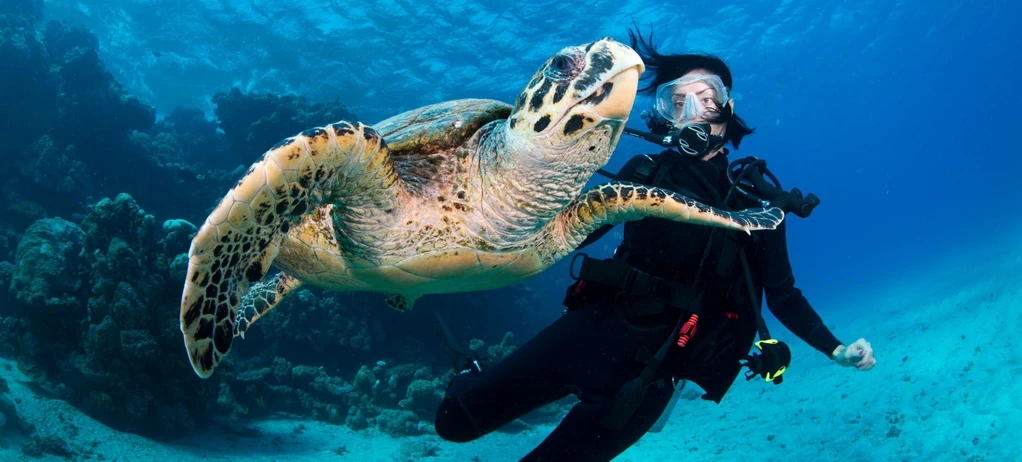 Scuba Diving Excursion In Marsa Alam | Marsa Alam Tours